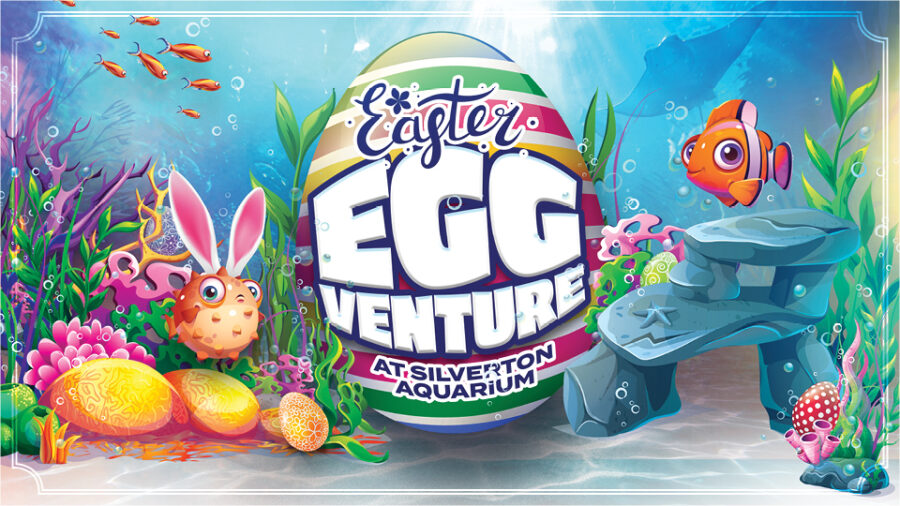 Entertainment Guide | Shows and Events in Las Vegas